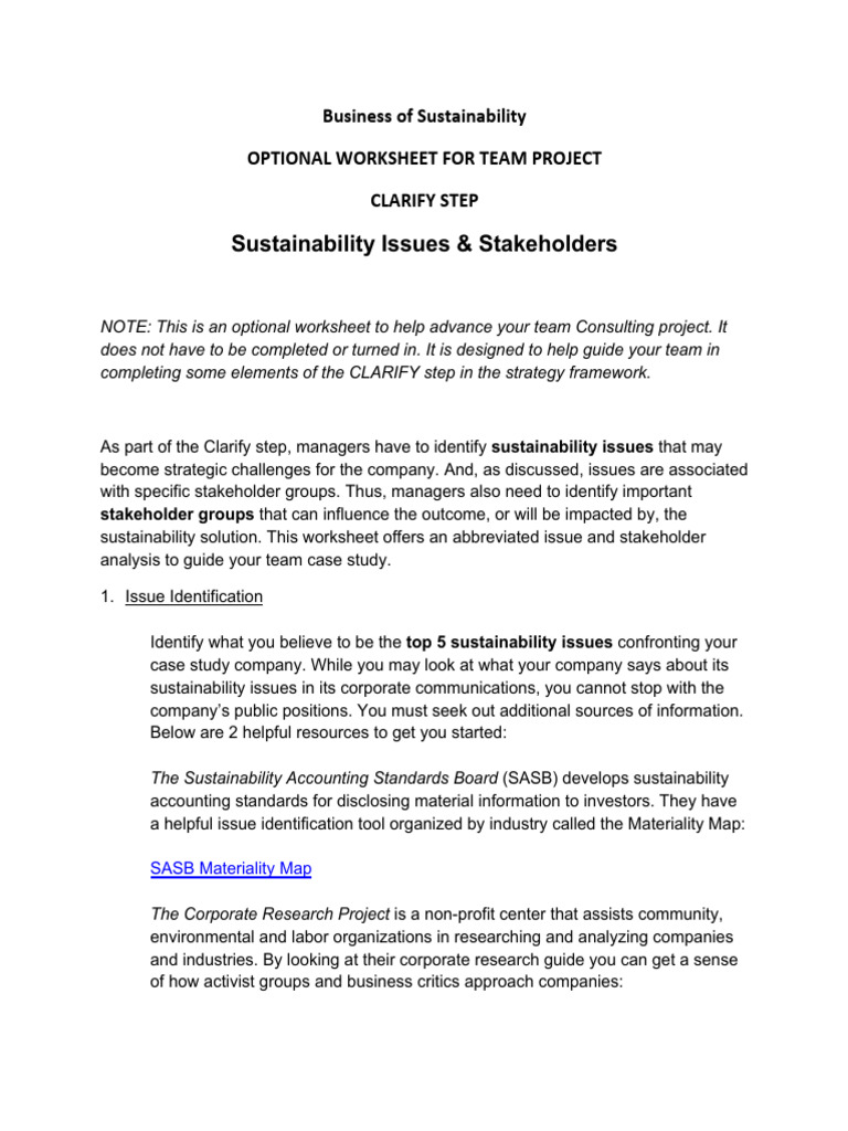 1_OPTIONAL WORKSHEET FOR TEAM PROJECT - Issues & Stakeholders | PDF ...