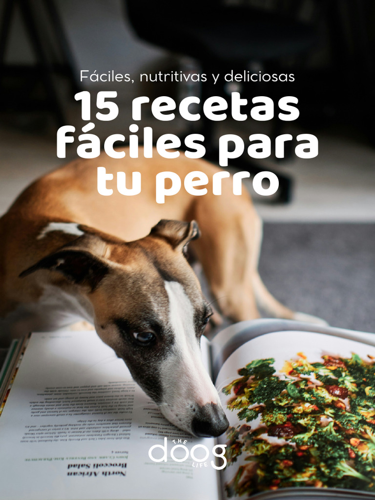 ebook 15 recetas fáciles para tu perro | PDF | Cocinando | Galleta