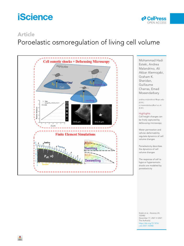 Poroelastic Osmoregulation of Living Cell Volume - 2021 - Iscience ...