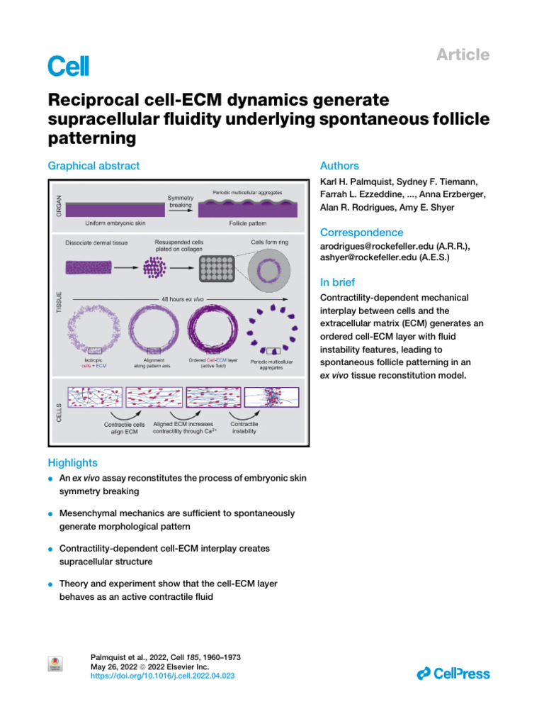 Reciprocal Cell ECM Dynamics Generate Supracellular Fluidity Underly ...