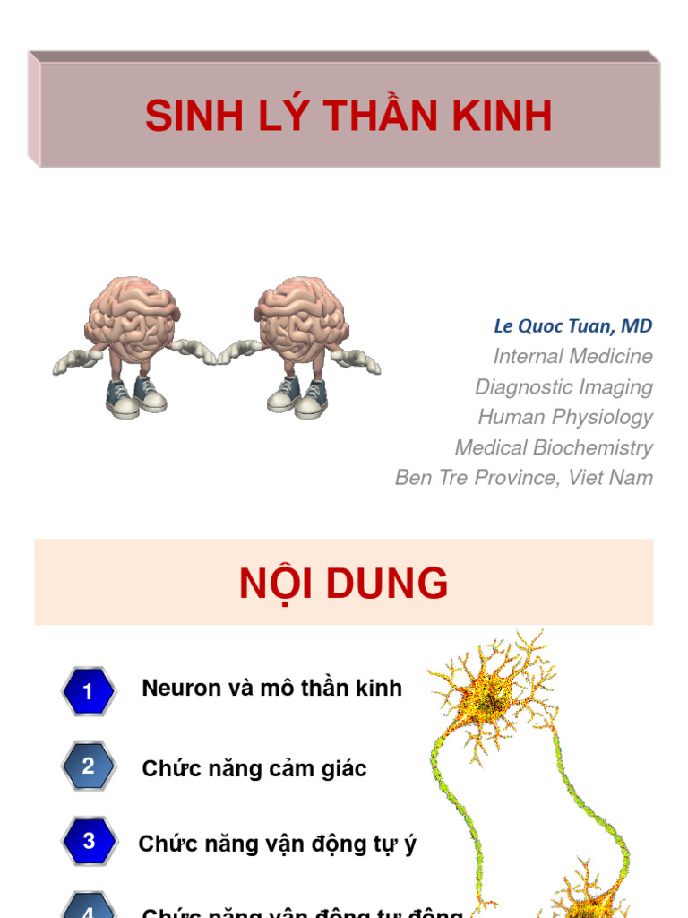 Sinh Ly Than Kinh NTT | PDF