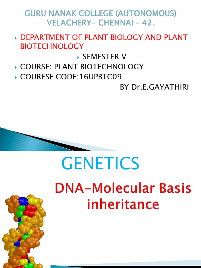 DNA Molecular Basis Inheritance | PDF | Rna | Translation (Biology) DNA Molecular Basis Inheritance | PDF | Rna | Translation (Biology)