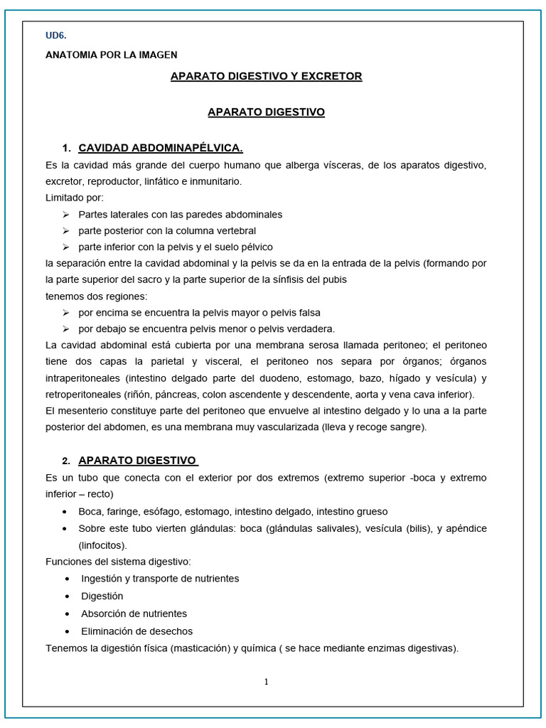 Ud6. Anat-Apuntes Ap. Digestivo y Excretor | PDF | Sistema digestivo ...