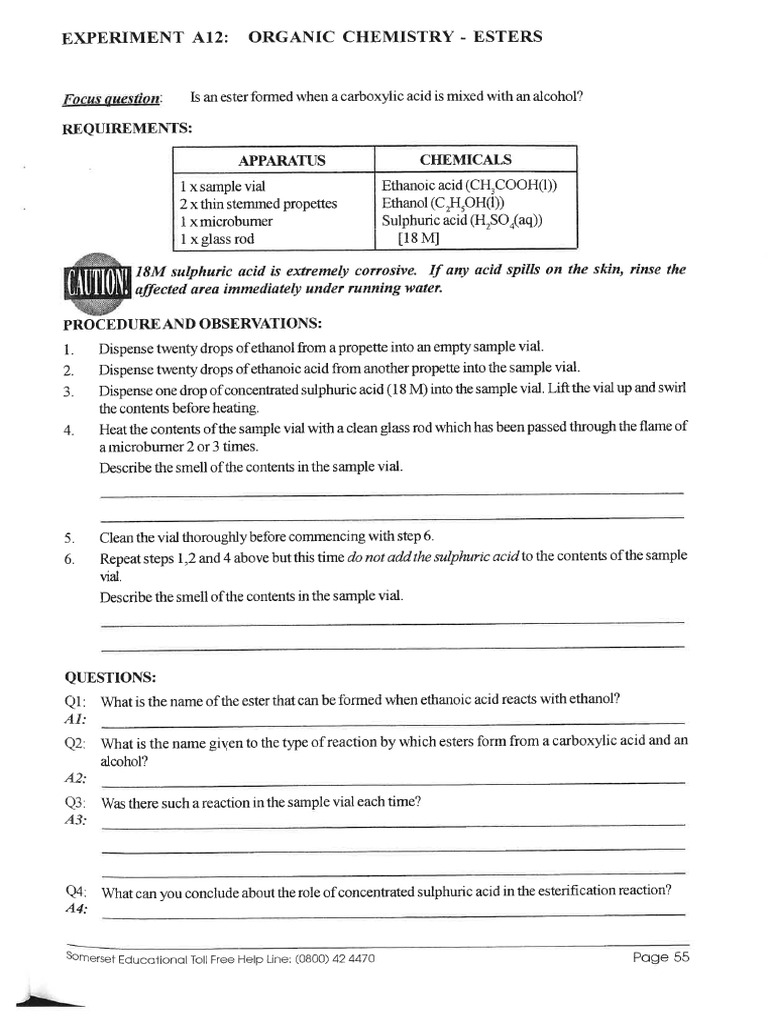 Organic Chemistry - Esters | PDF