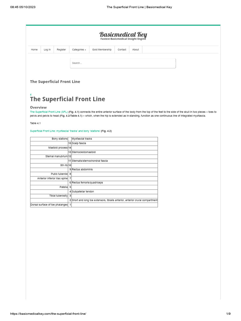 The Superficial Front Line - Basicmedical Key | PDF | Human Leg | Anatomical Terms Of Motion