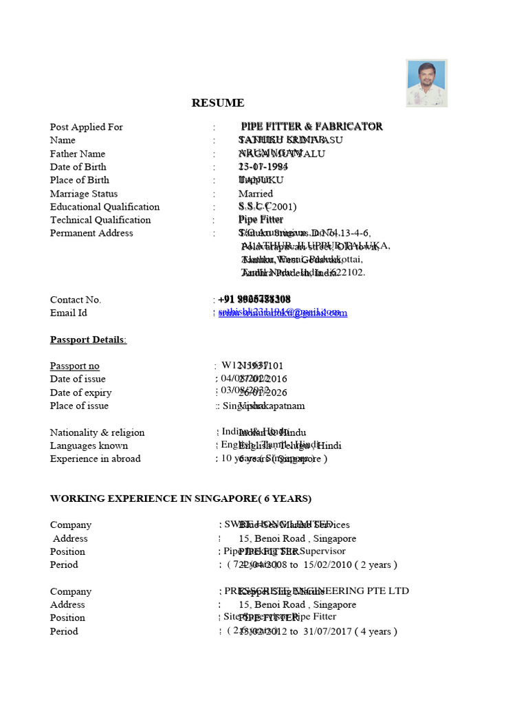 Resume: Passport Details | PDF