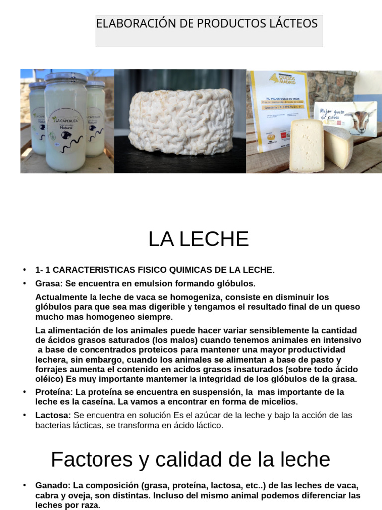 Elaboracion de Productos Lacteos | PDF | Leche | Productos lácteos