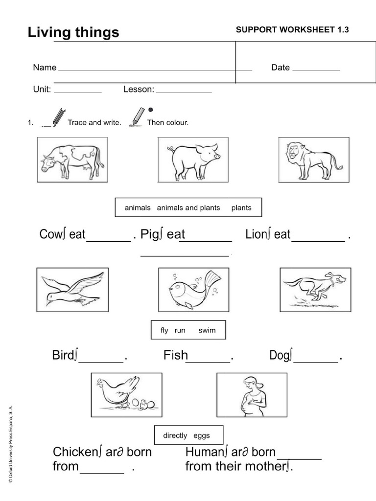 LIVING THINGS Animals | PDF