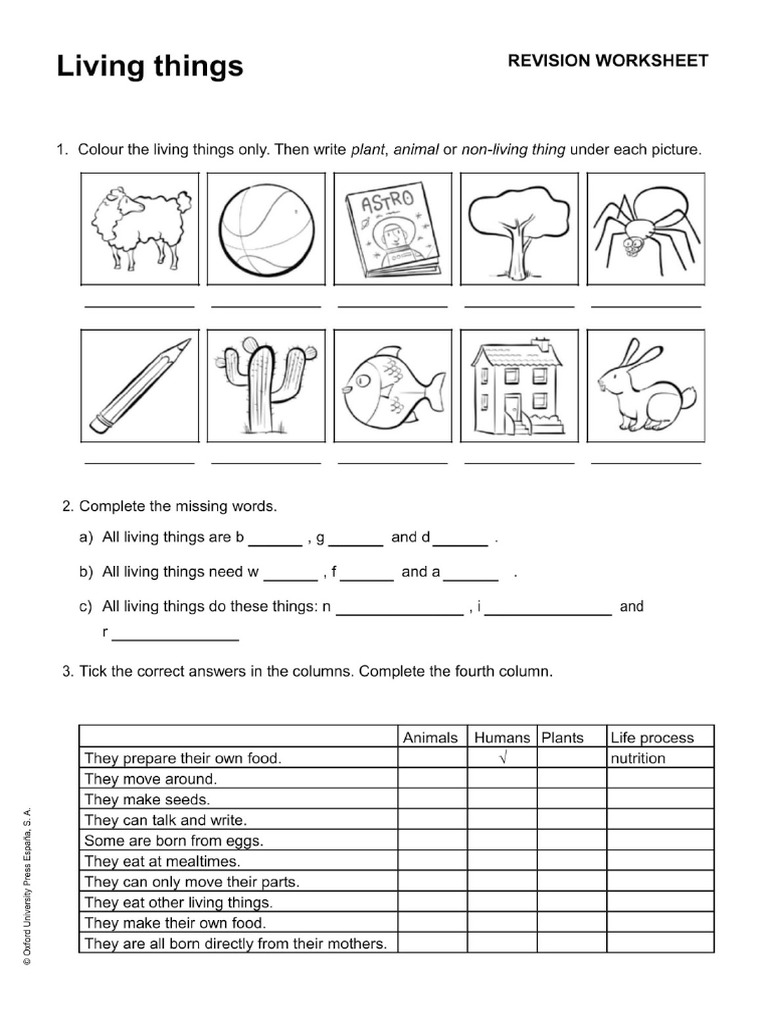 LIVING THINGS Plant Animals | PDF
