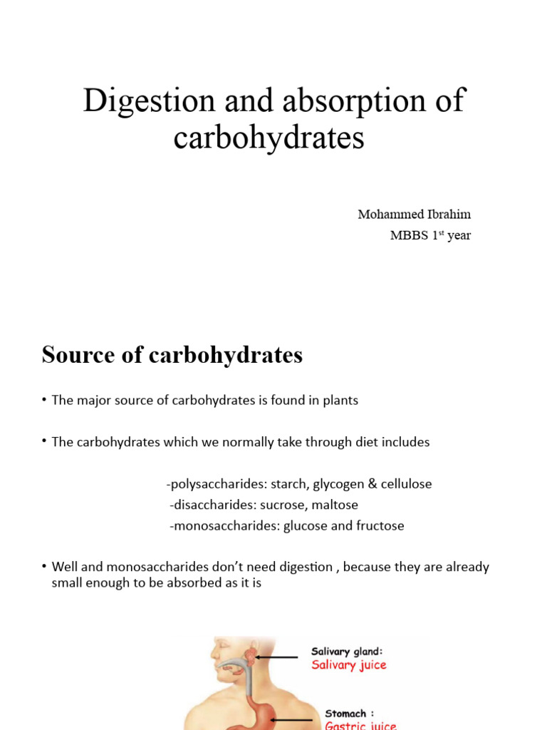 Digestion and Absorption of Carbohydrates | PDF | Digestion | Carbohydrates