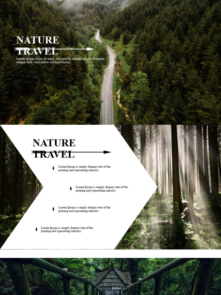 Power Nature | PDF | Infographics | Publishing