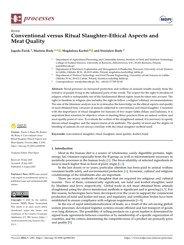 Conventional Versus Ritual Slaughter-Ethical Aspec | PDF | Animal ...