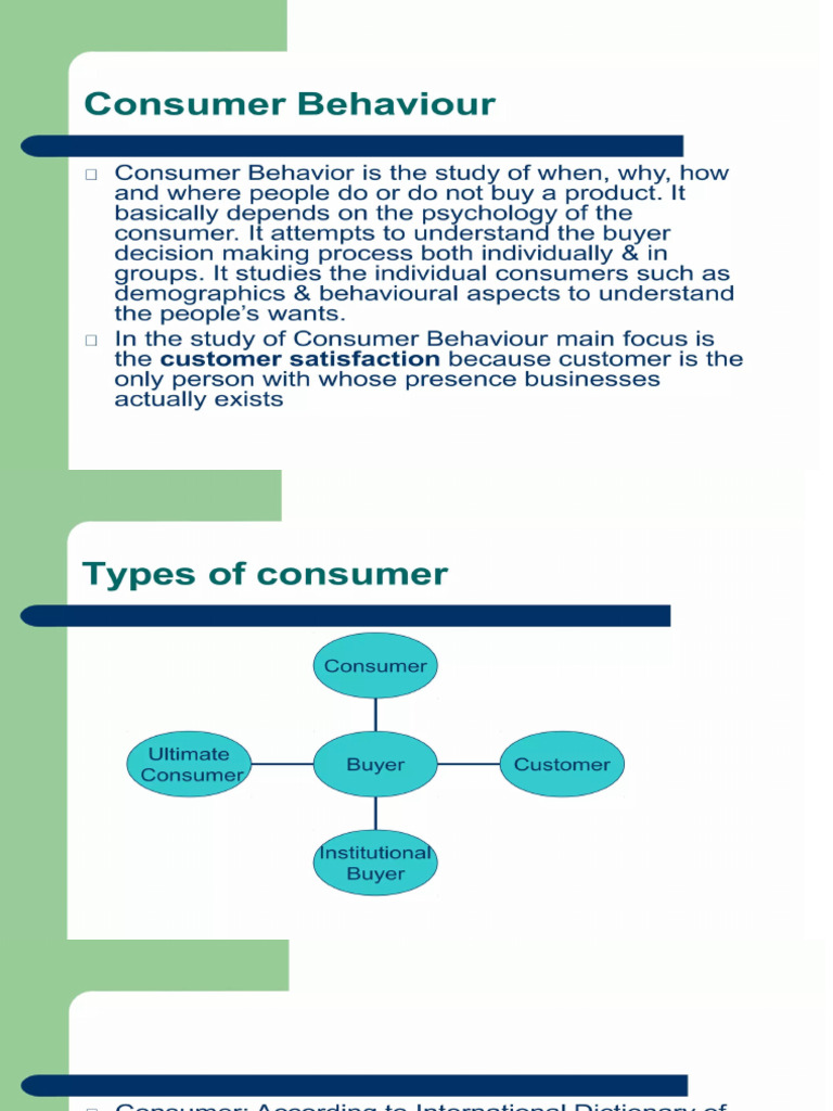 Consumer Behaviour | PDF