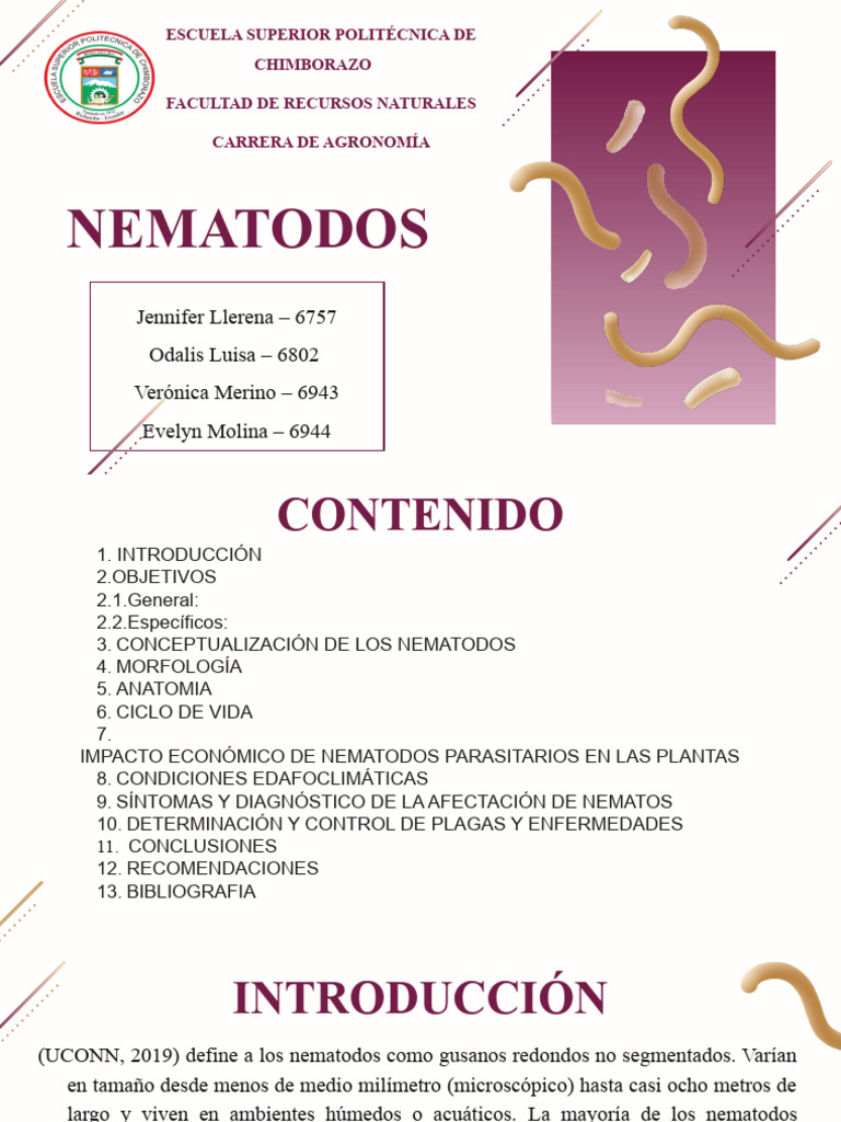 G5 Nematodos | PDF | Plantas | Nematodo