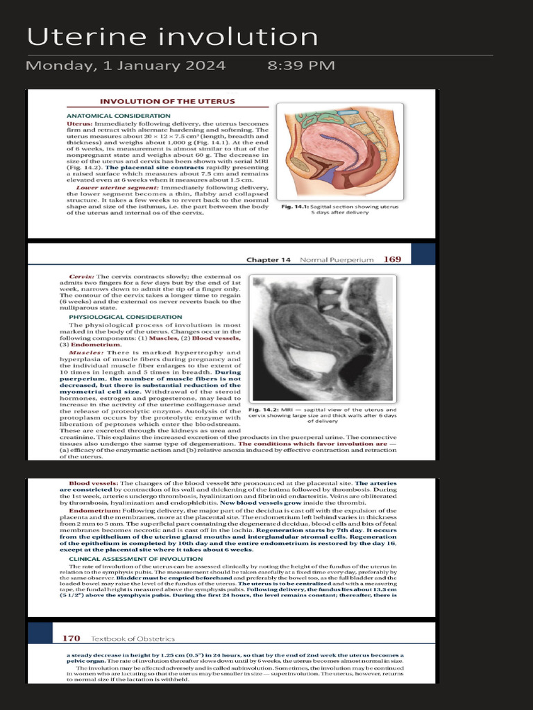 Uterine Involution | PDF