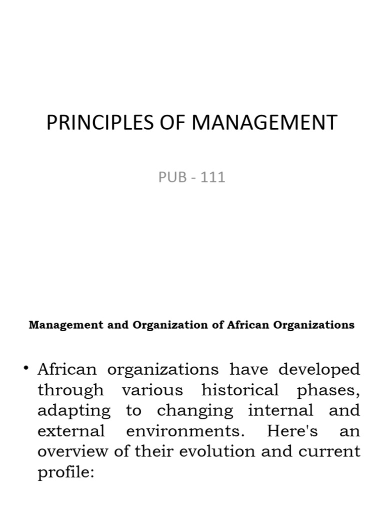 Development of Africa Organization | PDF | State Owned Enterprise | Africa