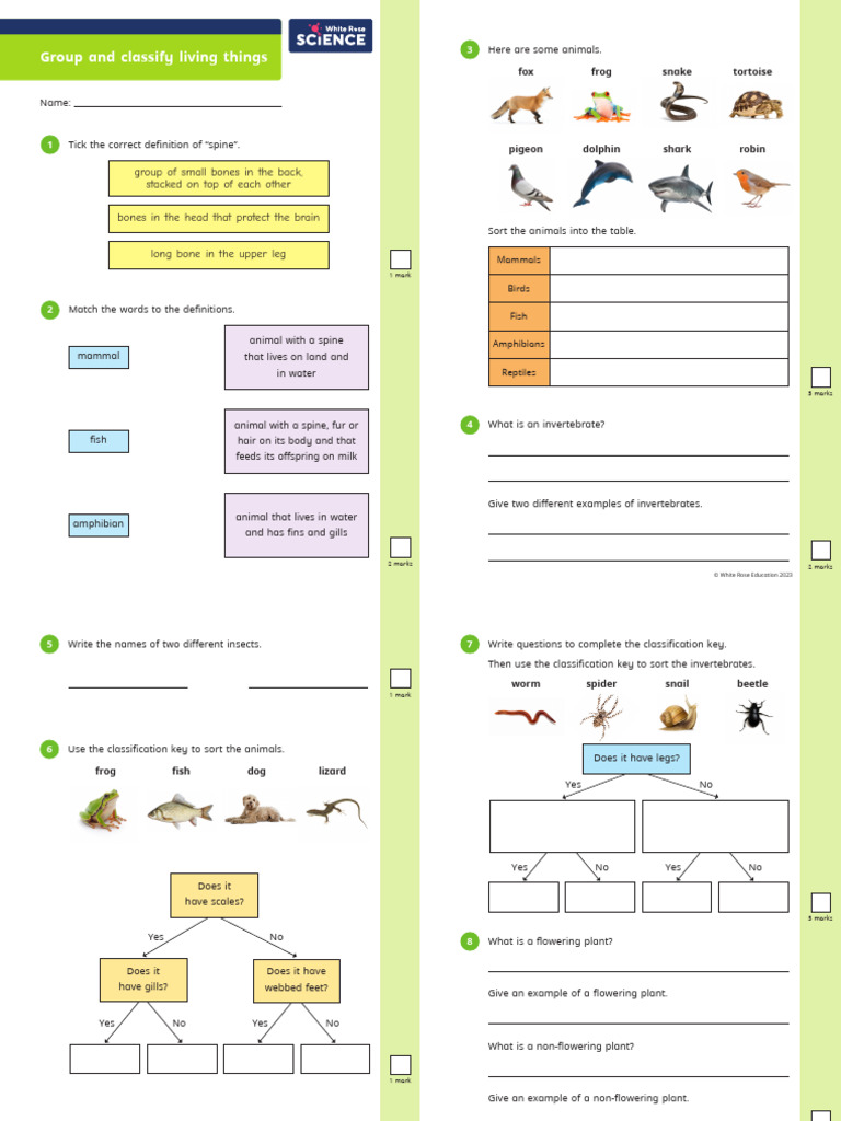 Classifying Living Organisms Guide | PDF | Fish | Invertebrate