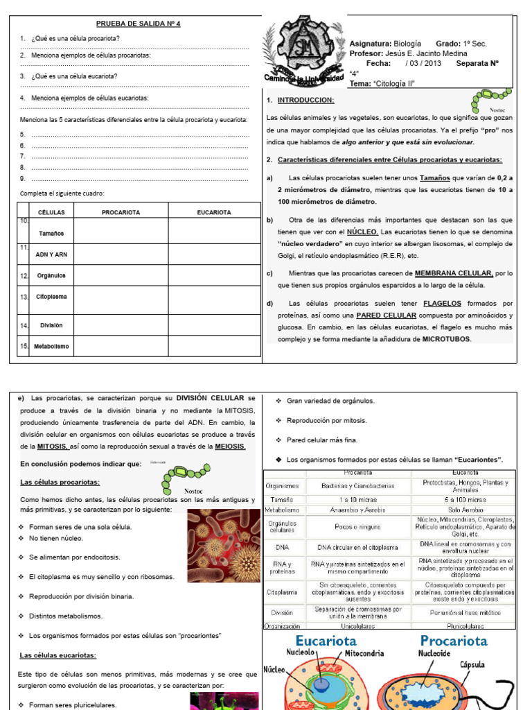 Separata 4 | PDF | Lípido | Carbohidratos