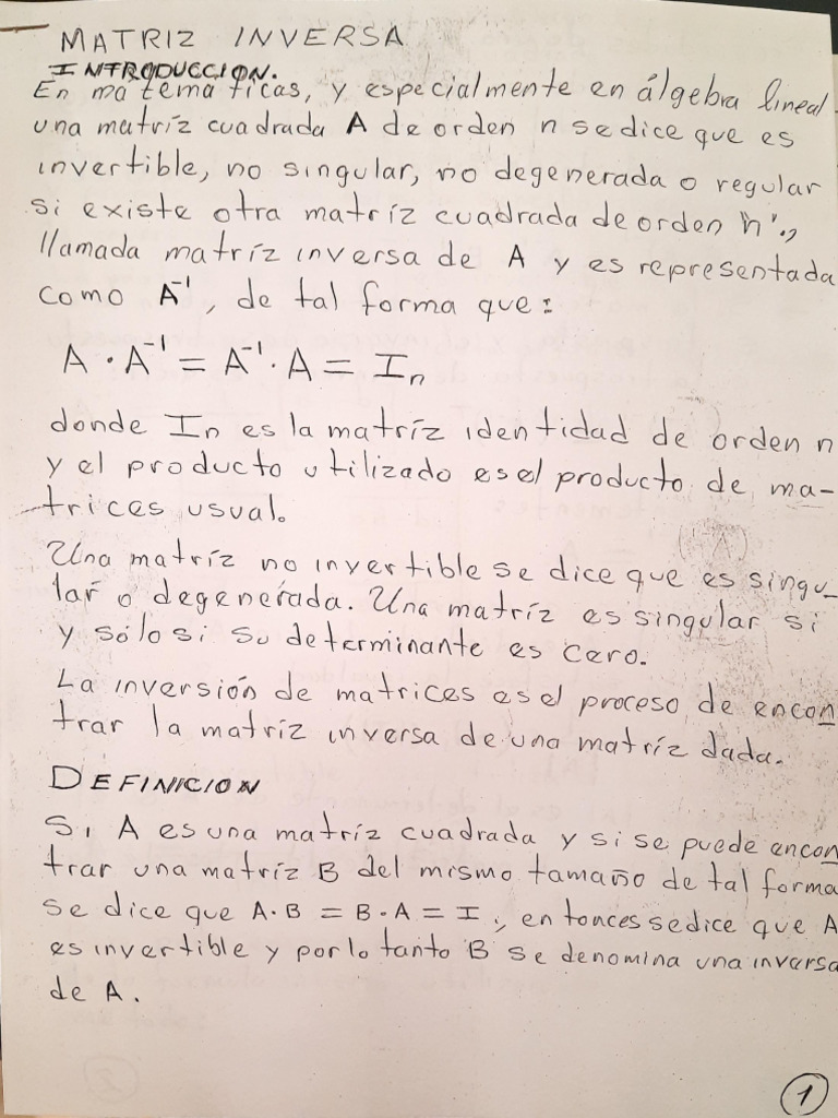 Matriz Inversa | PDF