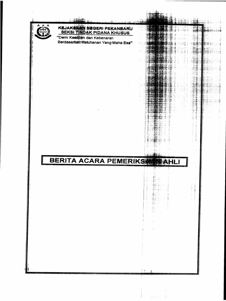 Bap Pemeriksaan Ahli | PDF