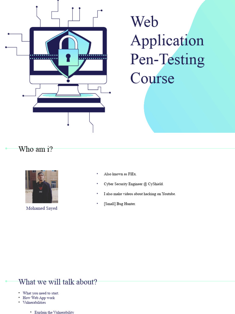 Web Application Penetration Testing Guide | PDF | World Wide Web ...