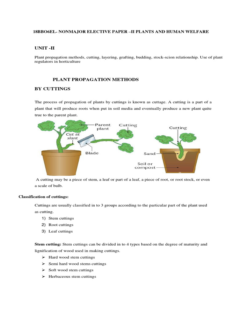 Plant Propagation Methods | PDF | Grafting | Plant Hormone