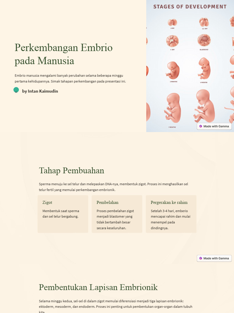 Perkembangan Embrio Pada Manusia | PDF