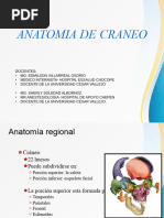 3-Vista Lateral de La Cabeza (Norma Lateral) | PDF | Cráneo | Anatomía ...