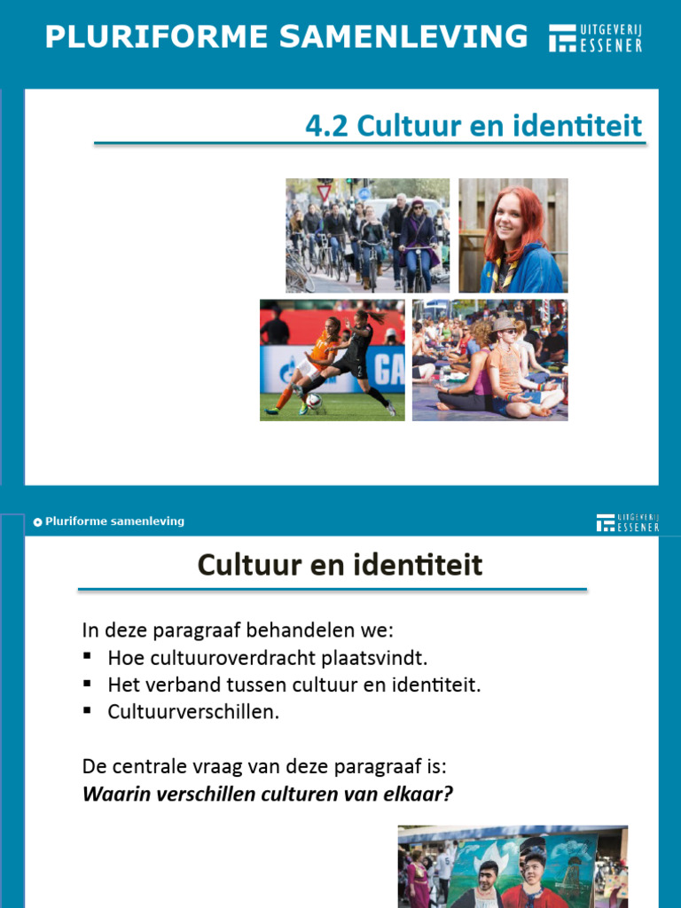 VWO Pluriforme Samenleving 4.2 Cultuur en Identiteit | PDF