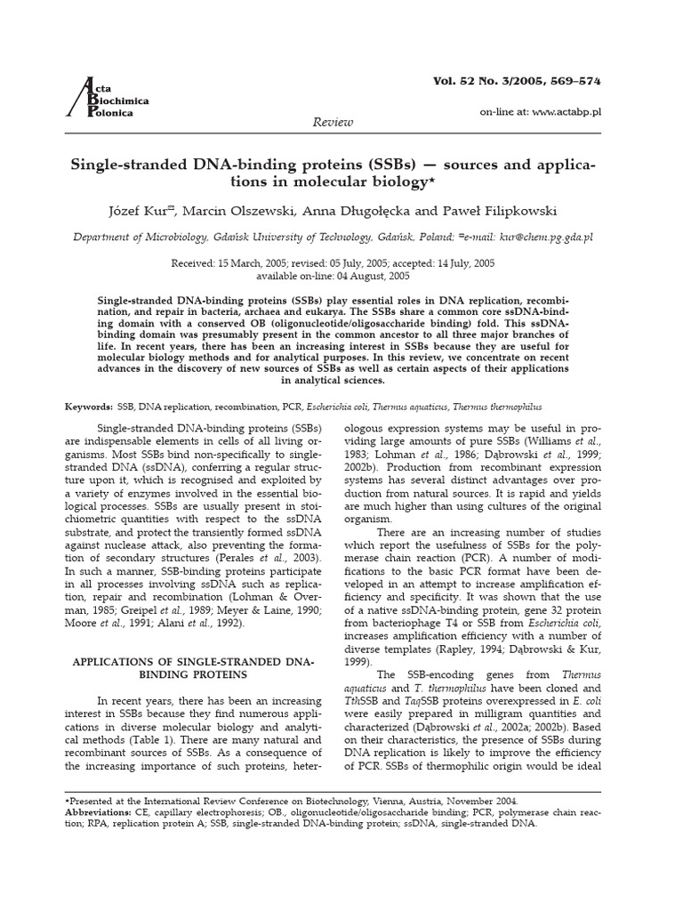 Single Stranded DNA Binding Protein | PDF | Dna | Polymerase Chain Reaction