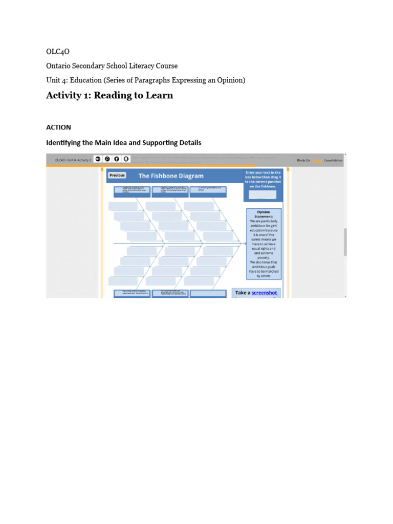 Main Idea in Education Opinion Paragraphs | PDF