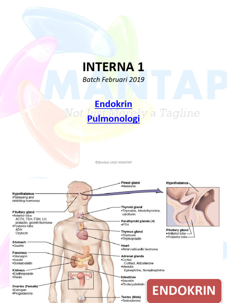 Ipd 1 - Mantap | PDF