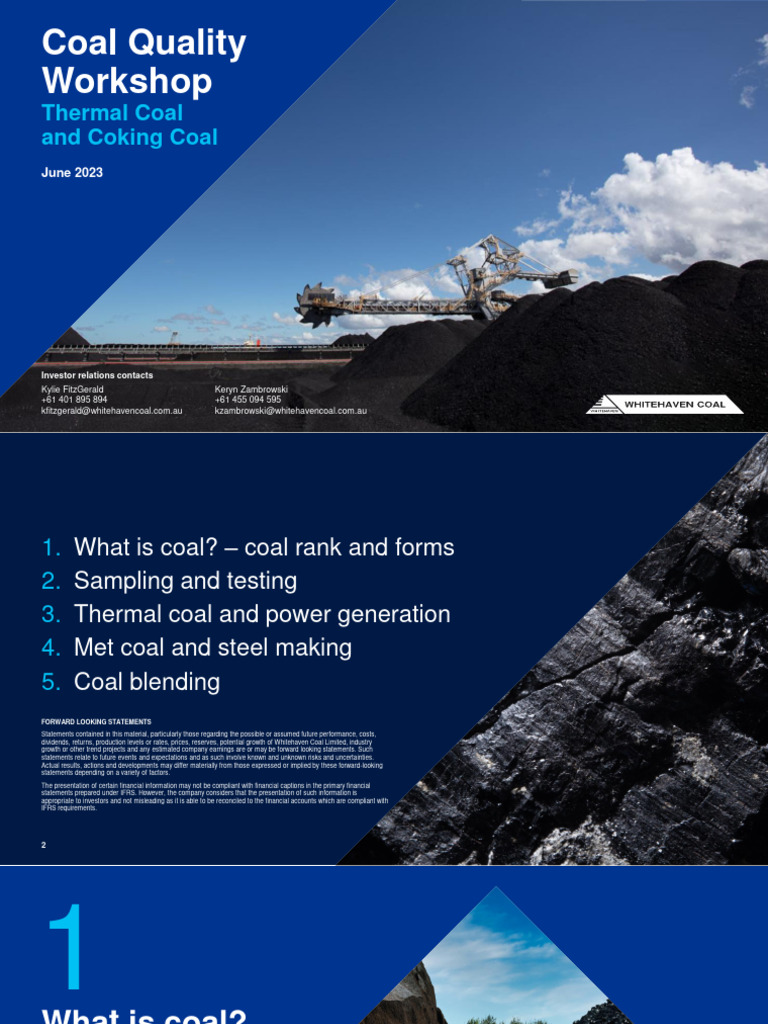Coal Quality Overview and Testing Guide | PDF | Steelmaking | Coal