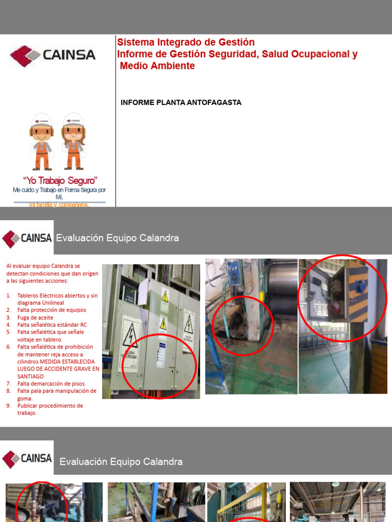 Informe Inspeccion Cainsa-Afta | PDF