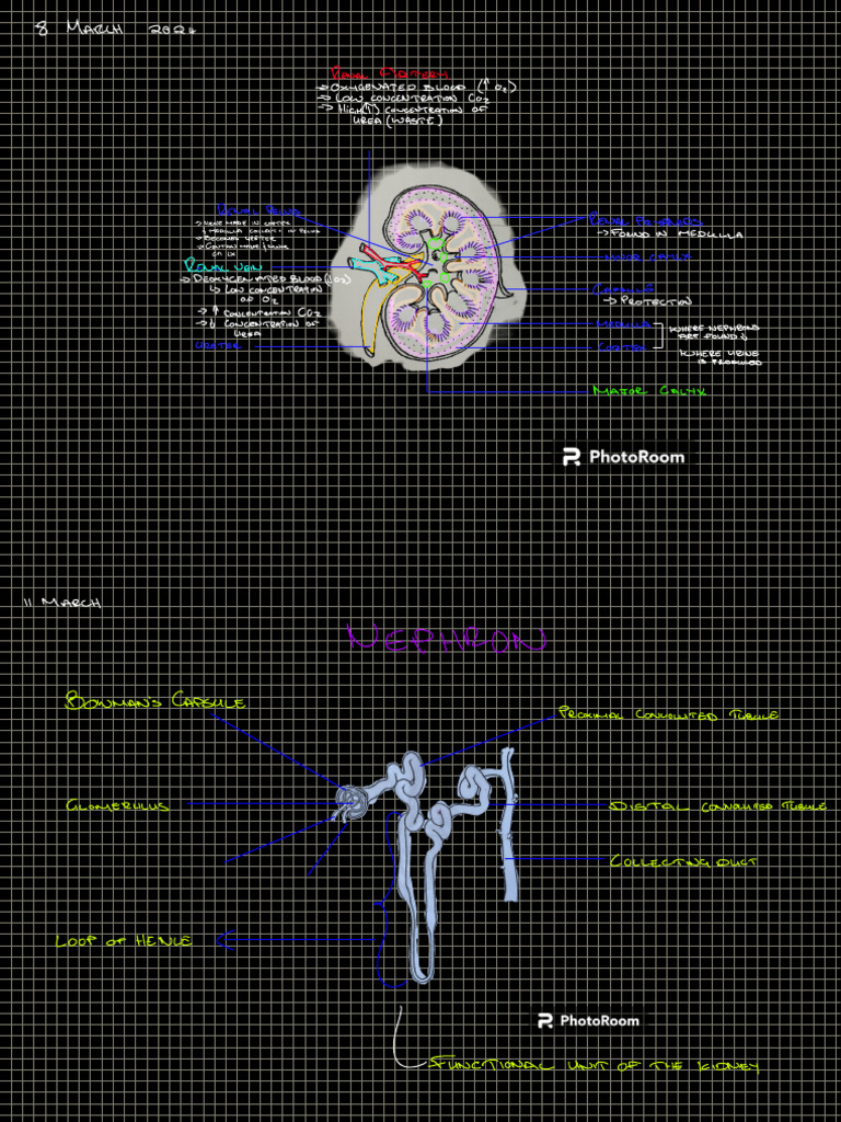 Life Sciences | PDF