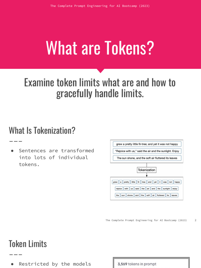 Understanding AI Token Limits and Management | PDF