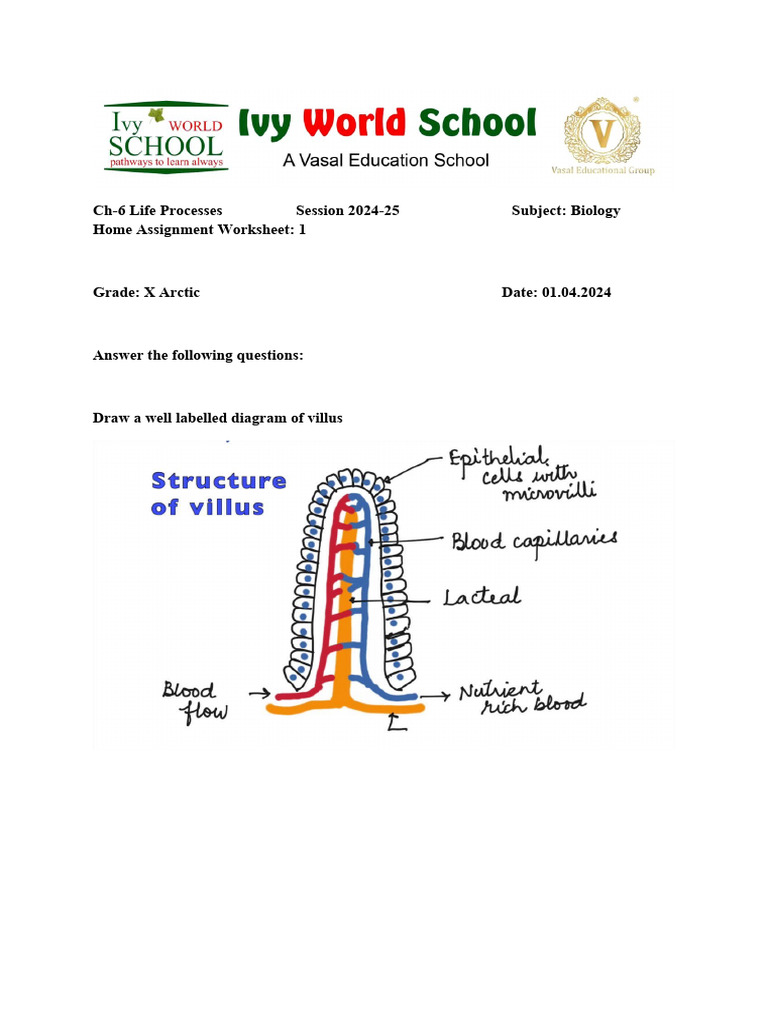 G10 Home Assignment Worksheet 1 1april24 | PDF