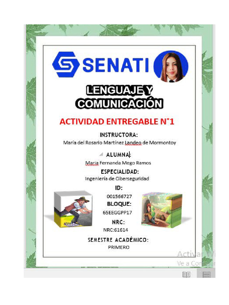 Pautas para La Actividad Entregable N 1 | PDF