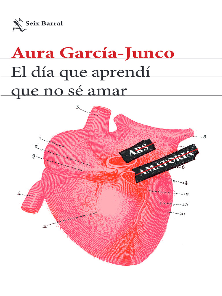 El Dia Que Aprendi Que No Se Amar Pdf