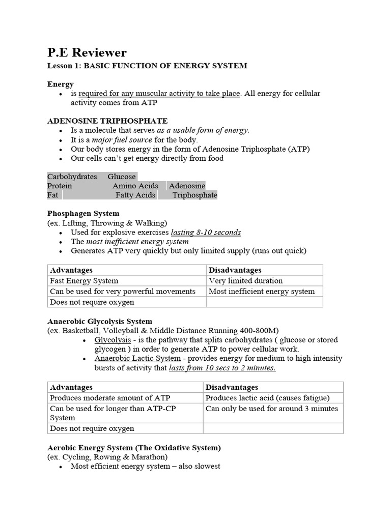 P.E Reviewer | PDF | Aerobic Exercise | Sports Science