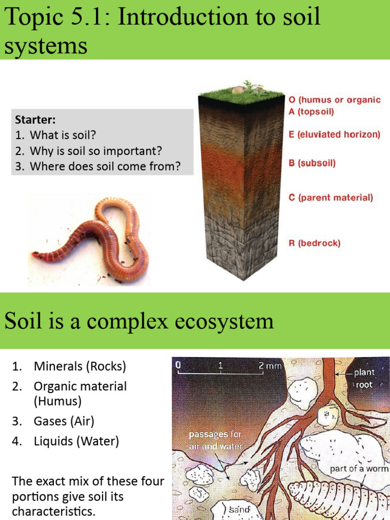 Introduction To Soil Systems | PDF | Soil | Clay