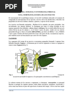 Tipos de Antenas de Insectos | PDF | Estudios de idiomas extranjeros ...