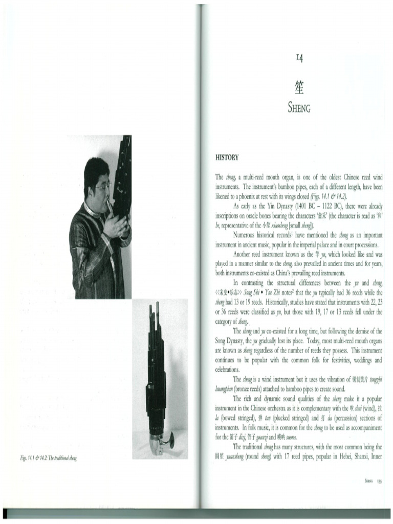 Sheng by Samuel Wong Shengmiao | PDF