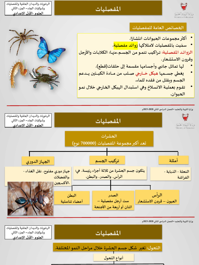 Mollusks Ringworms Arthropods and Echinoderms 2 | PDF