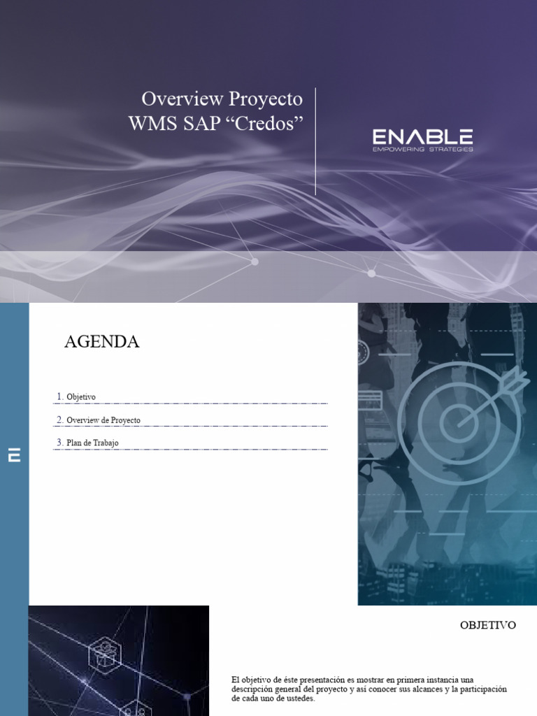 PMO - Overview Proyecto WMS | PDF | Informática | Ingeniería de software