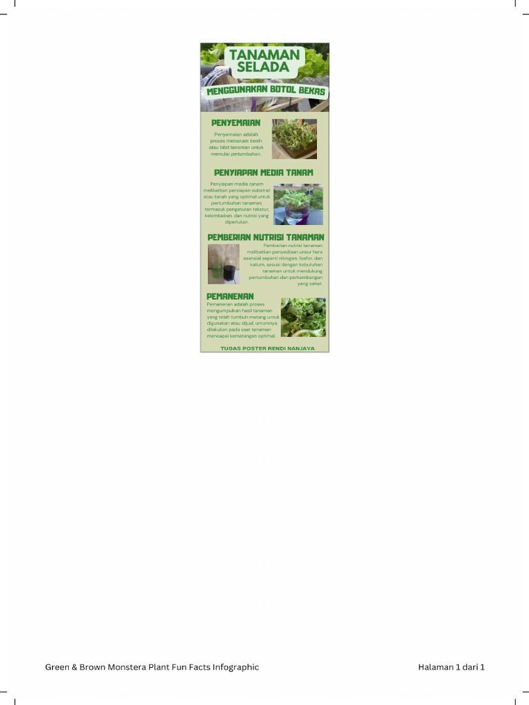 Green & Brown Monstera Plant Fun Facts Infographic | PDF