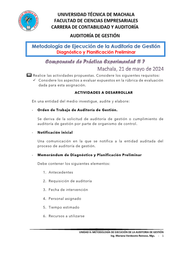 CPE 7 - Diagnóstico y Planificación Preliminar de La Auditoría de ...