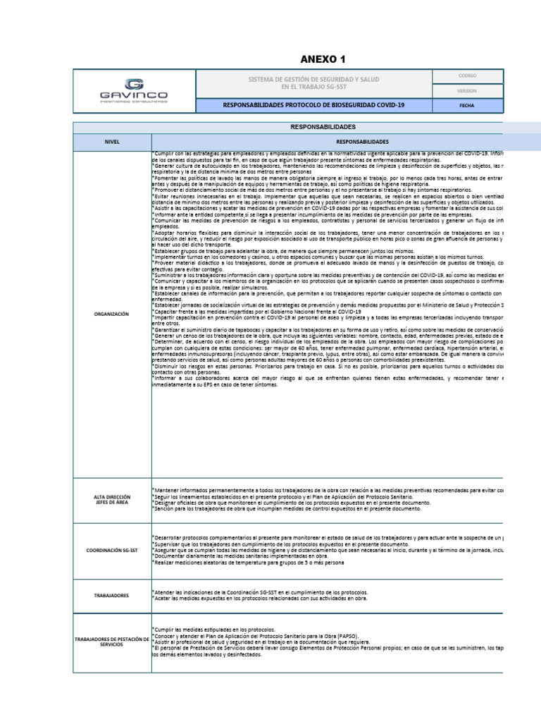 Anx 1 Responsabilidades | PDF | Enfermedades cardiovasculares | Medicina CLINICA