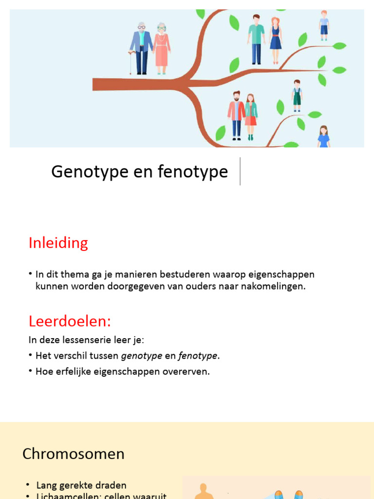 BS 1 Genotype en Fenotype | PDF