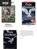 Owl Babies - Waddell, Martin Benson, Patrick, Ill | PDF | Birds Of Prey